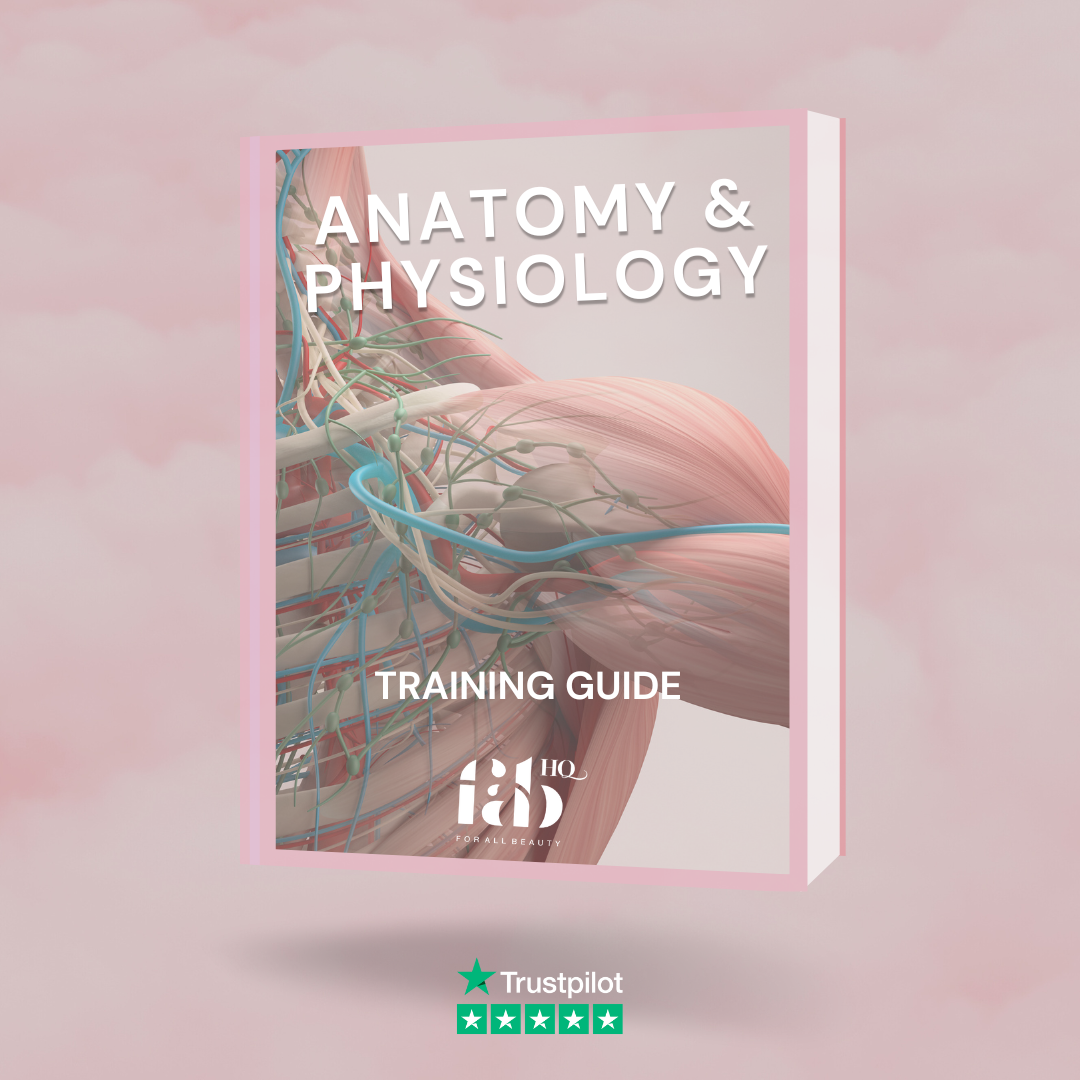 Anatomy & Physiology Training Guide – FAB HQ